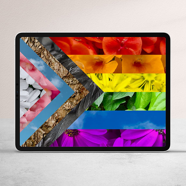 Progress flag nature devices 3 – Safe Space Alliance