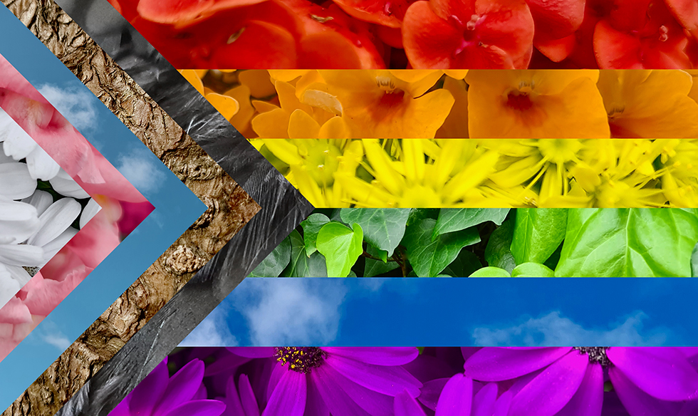 Progress flag nature – Safe Space Alliance