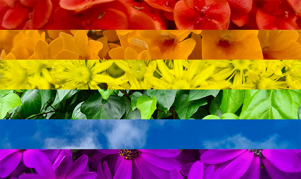 Rainbow flag nature – Safe Space Alliance