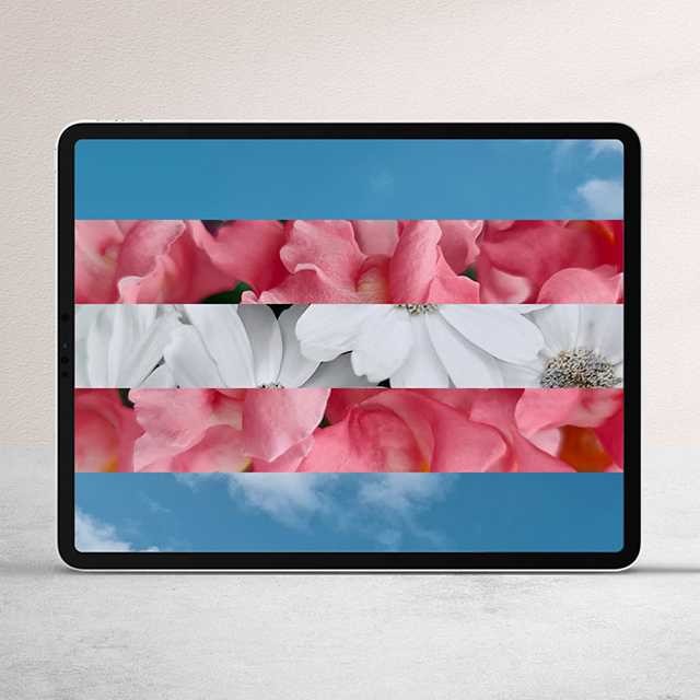 Transgender flag nature devices 3 – Safe Space Alliance