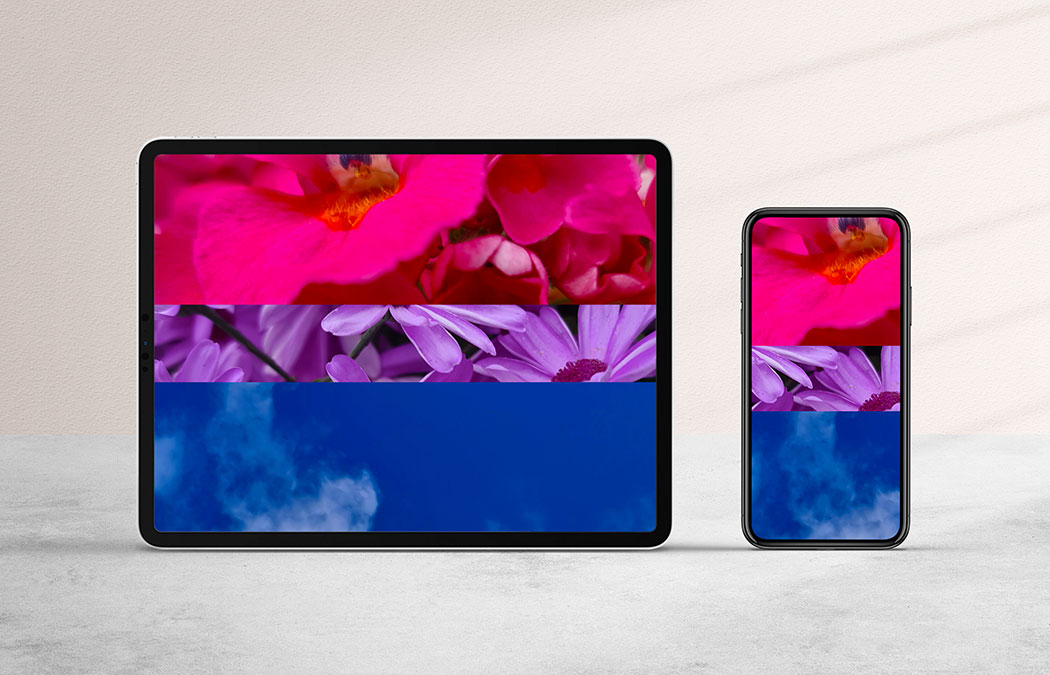 Bisexual flag nature devices 2 – Safe Space Alliance