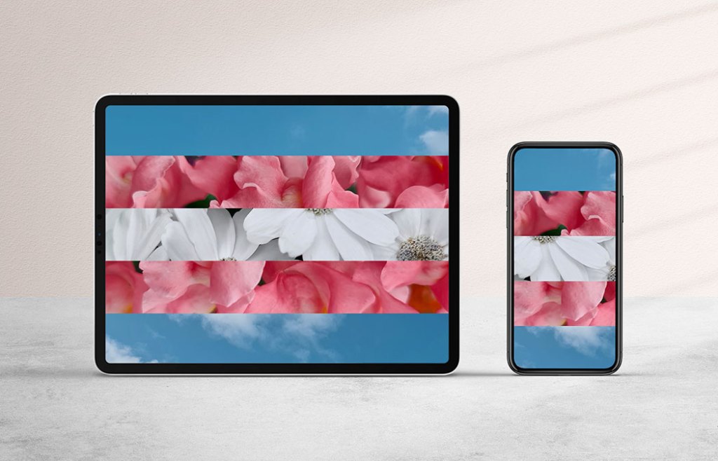 Transgender flag nature devices 2 – Safe Space Alliance