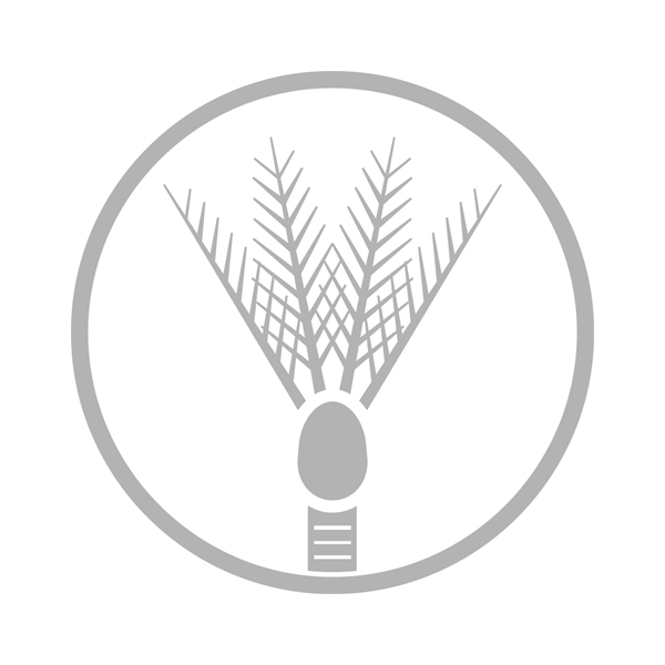 Te Awe Library – Safe Space Alliance