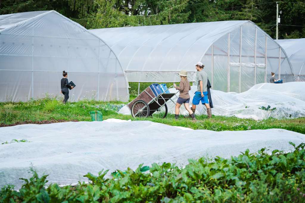 Amara Farm – Safe Space Alliance