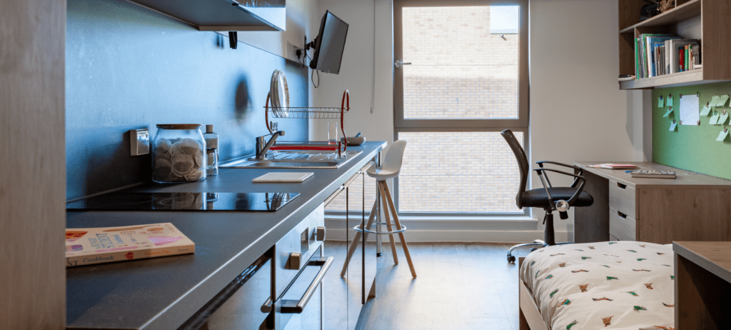 Pavilion Point – Safe Space Alliance