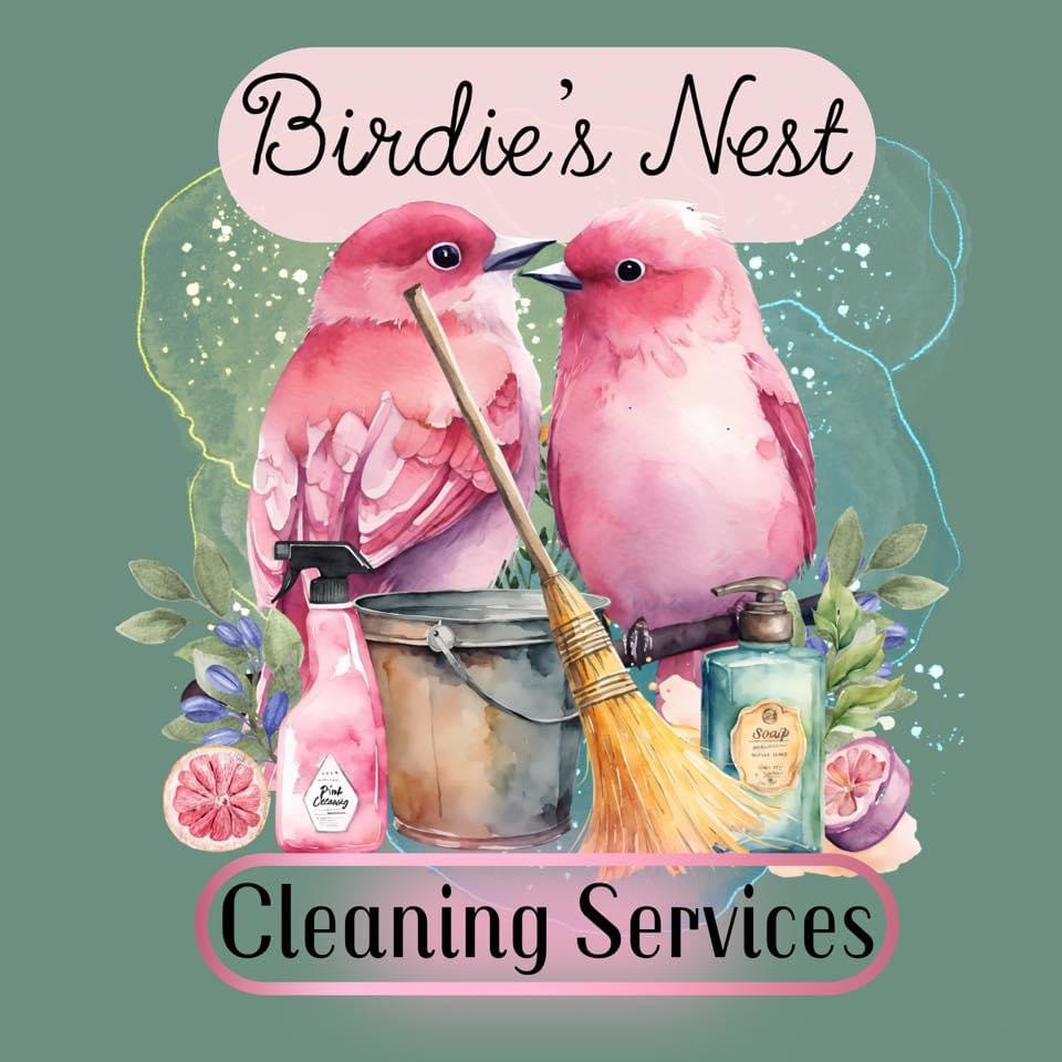 Birdie’s Nest Cleaning Services – Safe Space Alliance