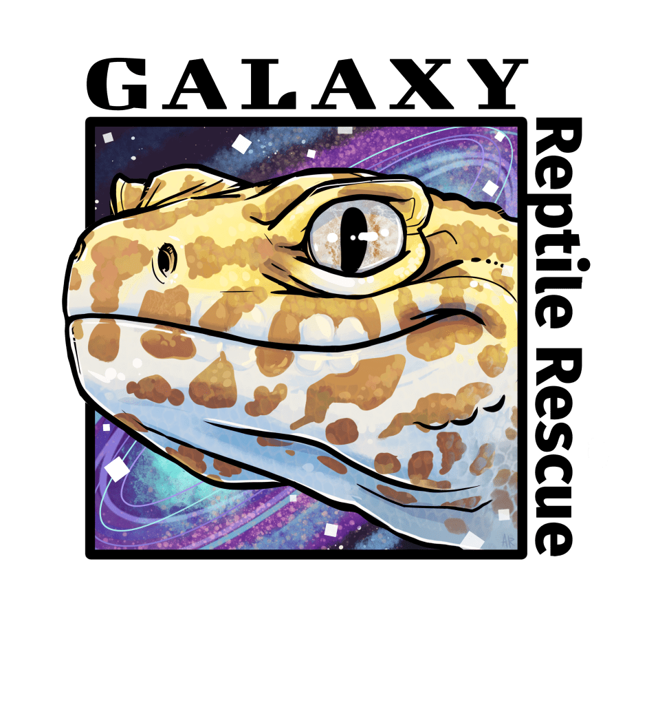 Galaxy Reptile Rescue – Safe Space Alliance
