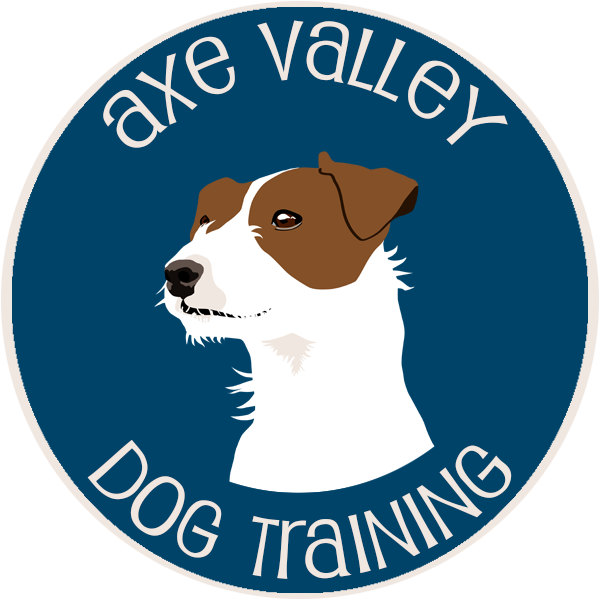 Axe Valley Dog Training – Safe Space Alliance